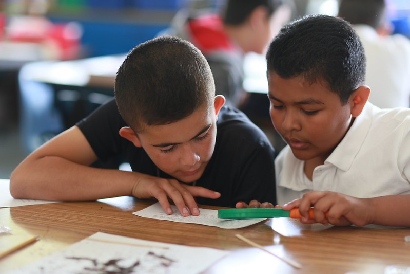 Understanding Students' Learning Leads to Better Teaching – Lead by ...