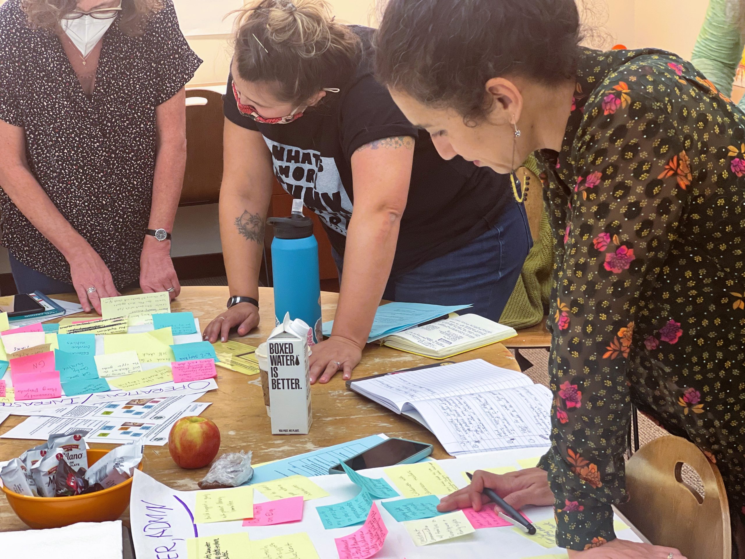 Shifting Professional Culture from Reactive to Adaptive: Integrating ...